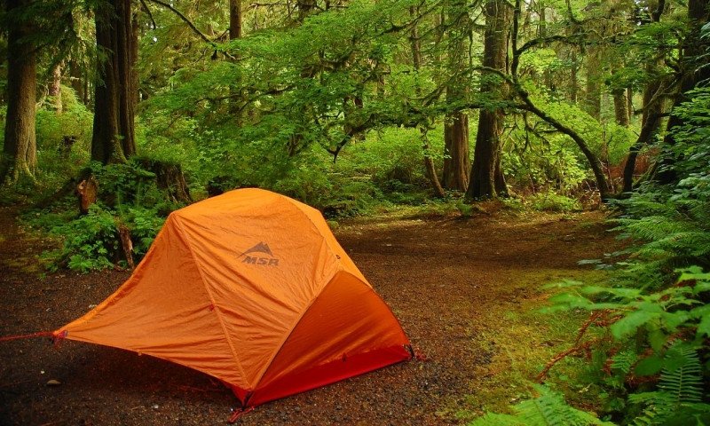 Camping In Olympic National Park Campgrounds Reservations AllTrips Camping In Olympic National Park Campgrounds Reservations AllTrips